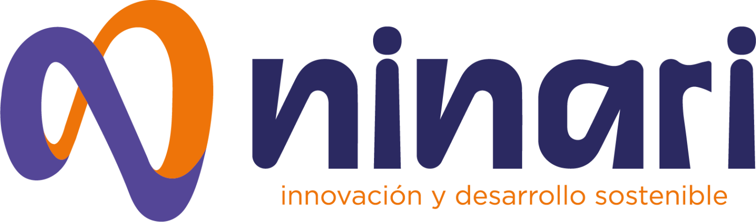 NINARI Foundation – Global South Just Energy Transition Community of ...